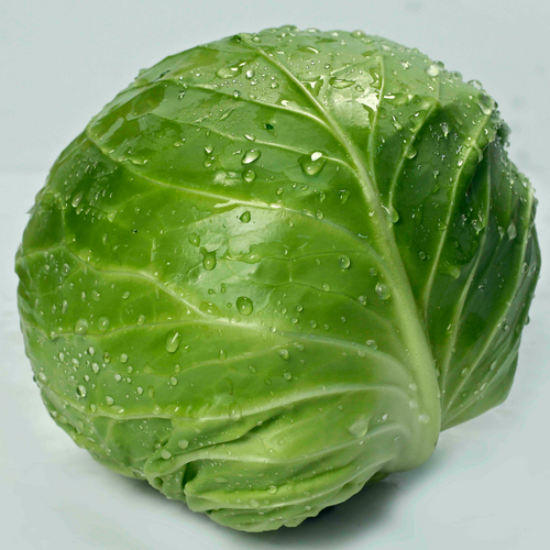 CABBAGE GREEN - Gulfood 2026